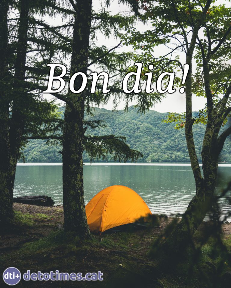 Les millors frases i imatges de Bon dia gratis! | De tot i més!