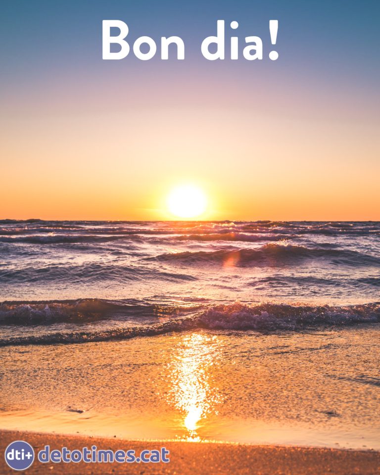 Les millors frases i imatges de Bon dia gratis! | De tot i més!