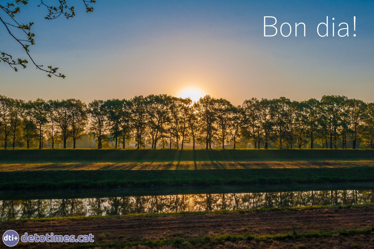 Les millors frases i imatges de Bon dia gratis! | De tot i més!