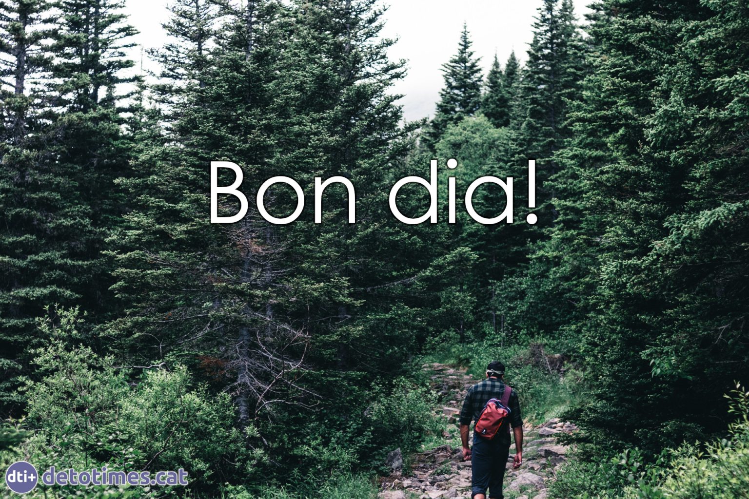 Les millors frases i imatges de Bon dia gratis! | De tot i més!