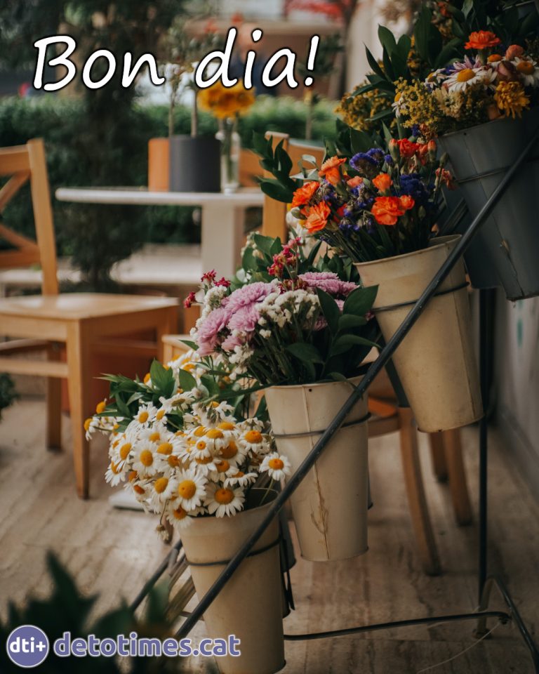 Les millors frases i imatges de Bon dia gratis! | De tot i més!