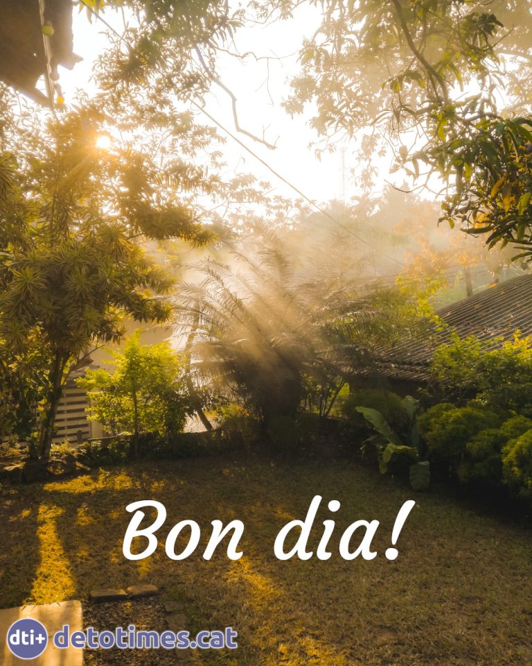 Les millors frases i imatges de Bon dia gratis! | De tot i més!