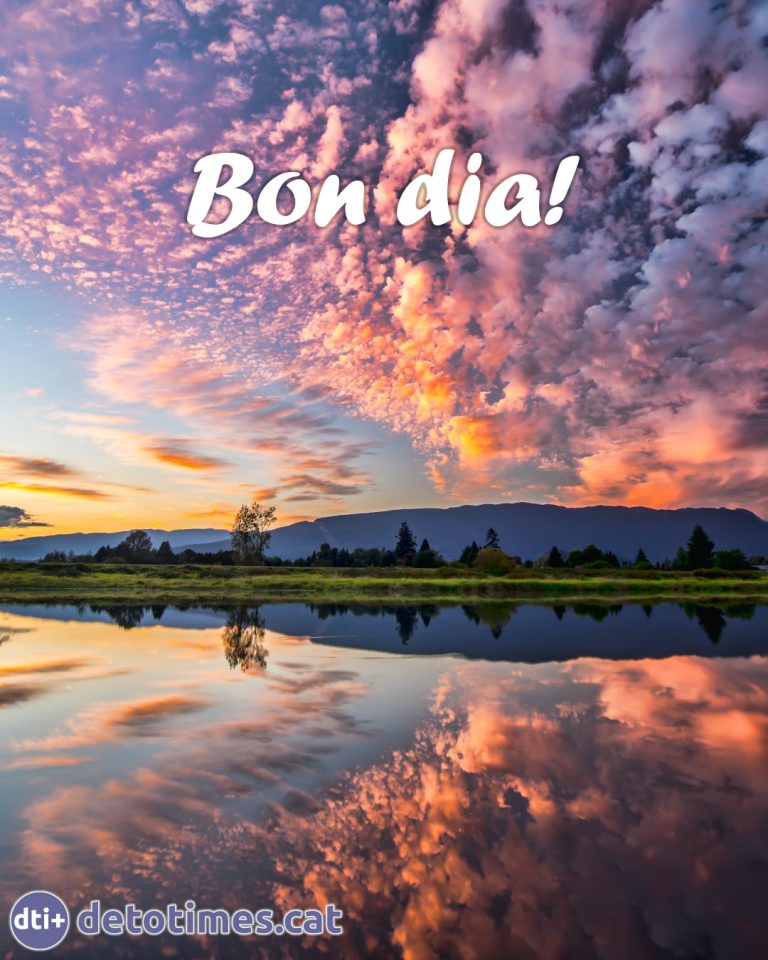 Les millors frases i imatges de Bon dia gratis! | De tot i més!