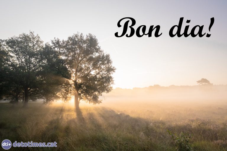 Les millors frases i imatges de Bon dia gratis! | De tot i més!
