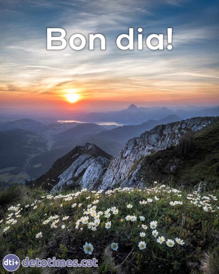 Les millors frases i imatges de Bon dia gratis! | De tot i més!