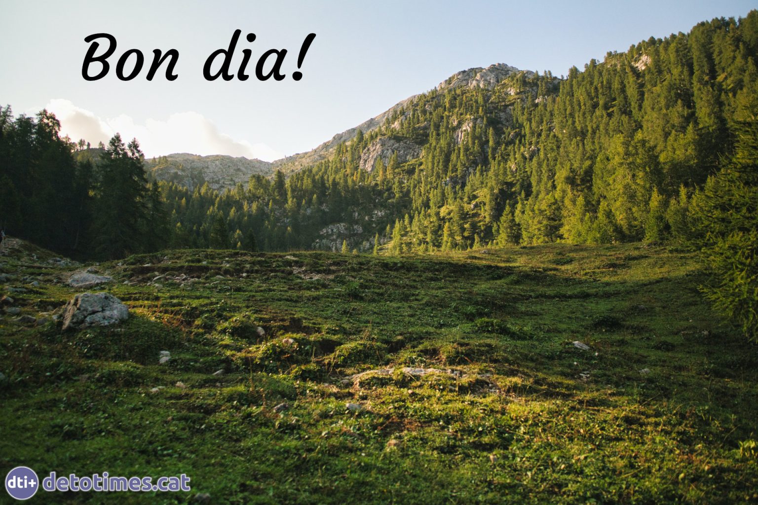 Les millors frases i imatges de Bon dia gratis! | De tot i més!