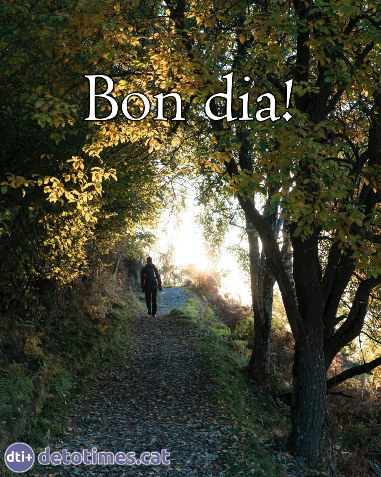 Les millors frases i imatges de Bon dia gratis! | De tot i més!