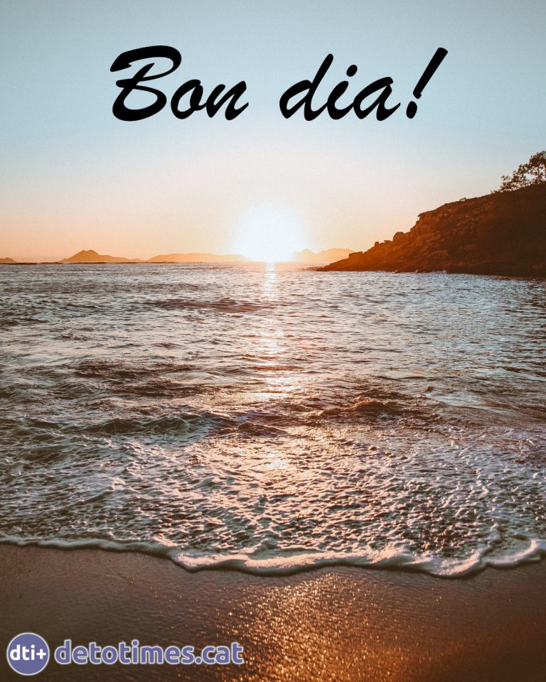 Les millors frases i imatges de Bon dia gratis! | De tot i més!