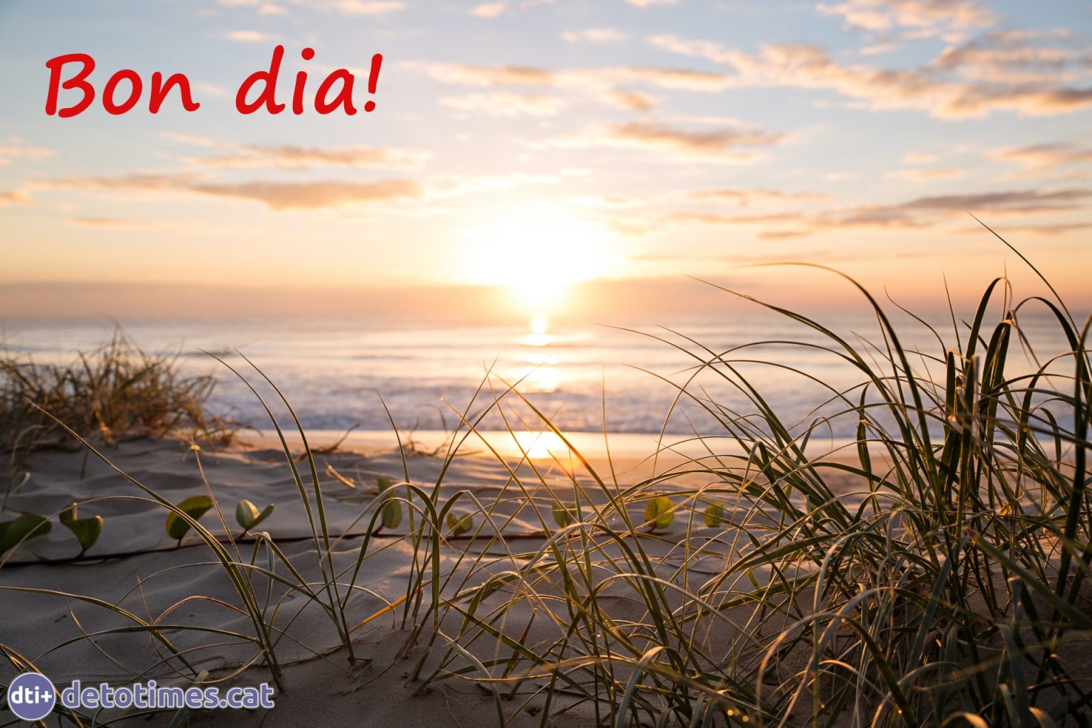 Les millors frases i imatges de Bon dia gratis! | De tot i més!